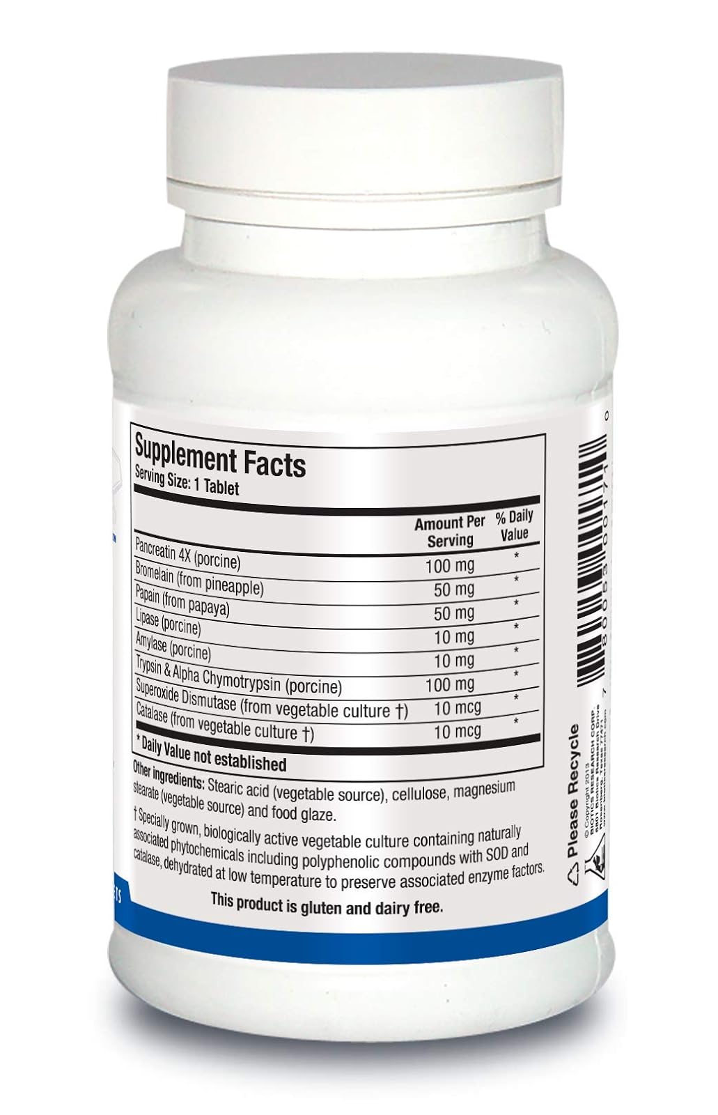 probiotic digestive enzymes for better absorption