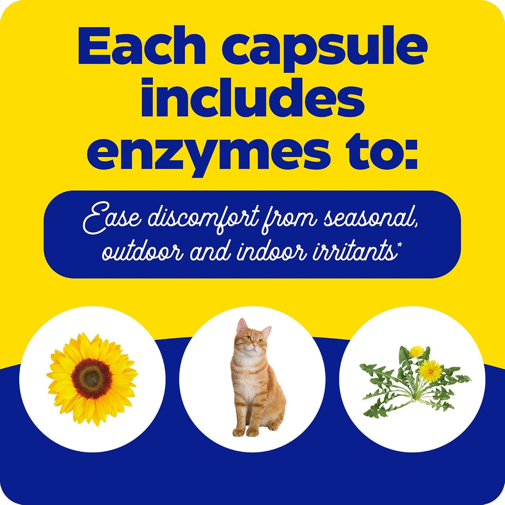 probiotic digestive enzymes for bloating relief
