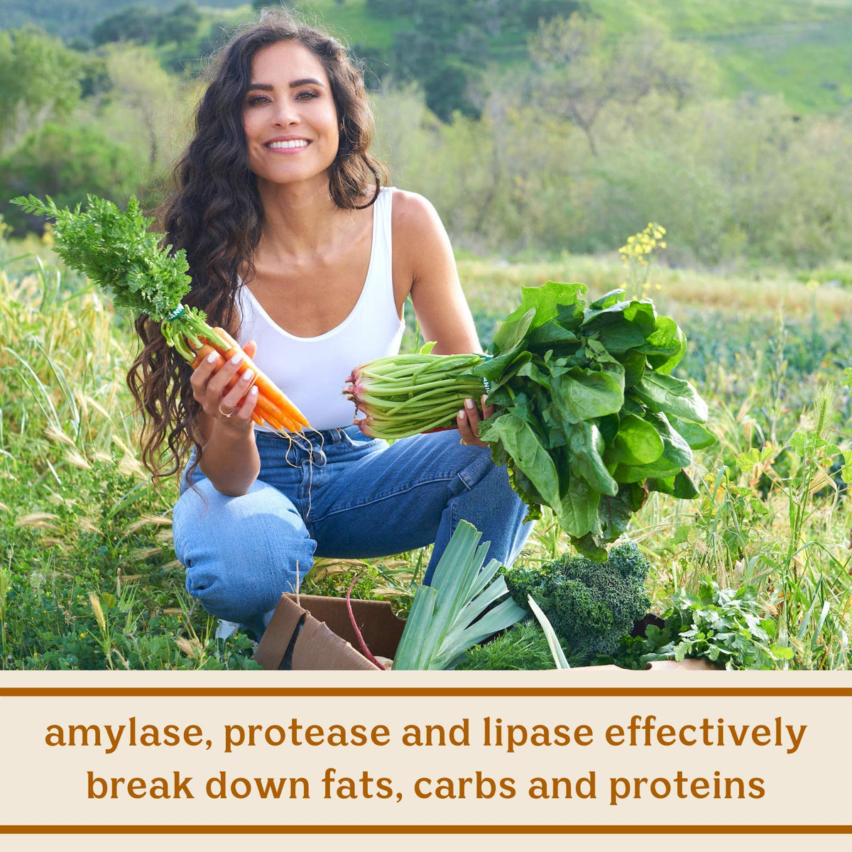 probiotic digestive enzymes for bloating relief