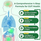 probiotic digestive enzymes for bloating relief