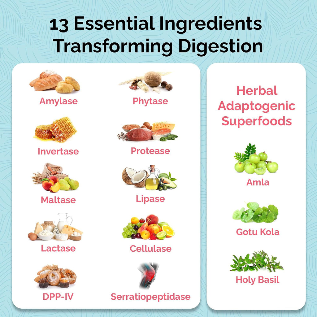 probiotic digestive enzymes for daily wellness