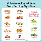 probiotic digestive enzymes for daily wellness