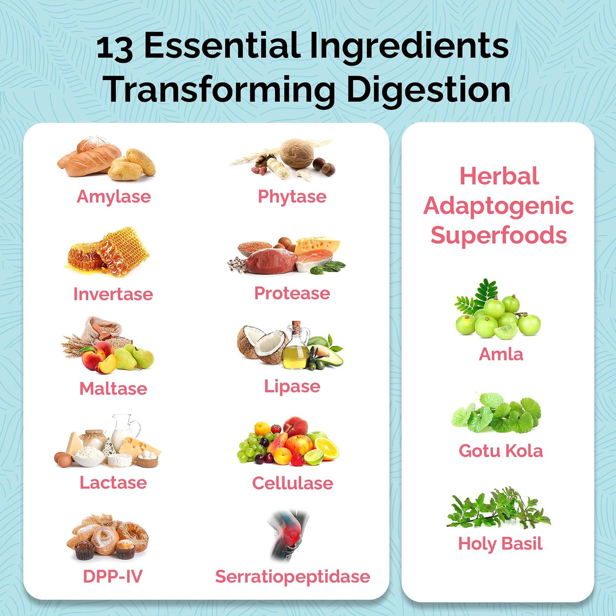 probiotic digestive enzymes for daily wellness