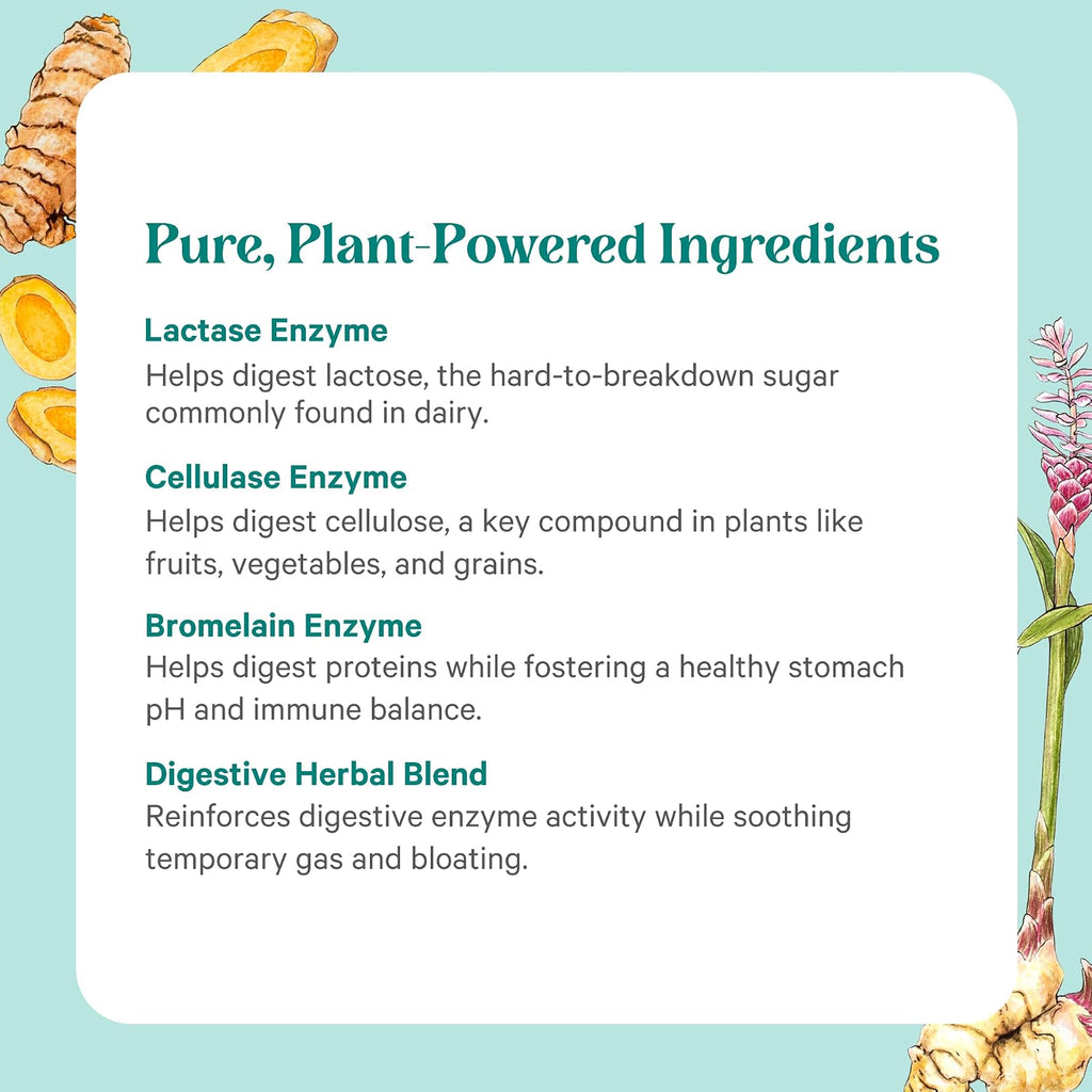probiotic digestive enzymes for gut balance