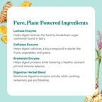 probiotic digestive enzymes for gut balance