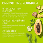 probiotic digestive enzymes for gut health
