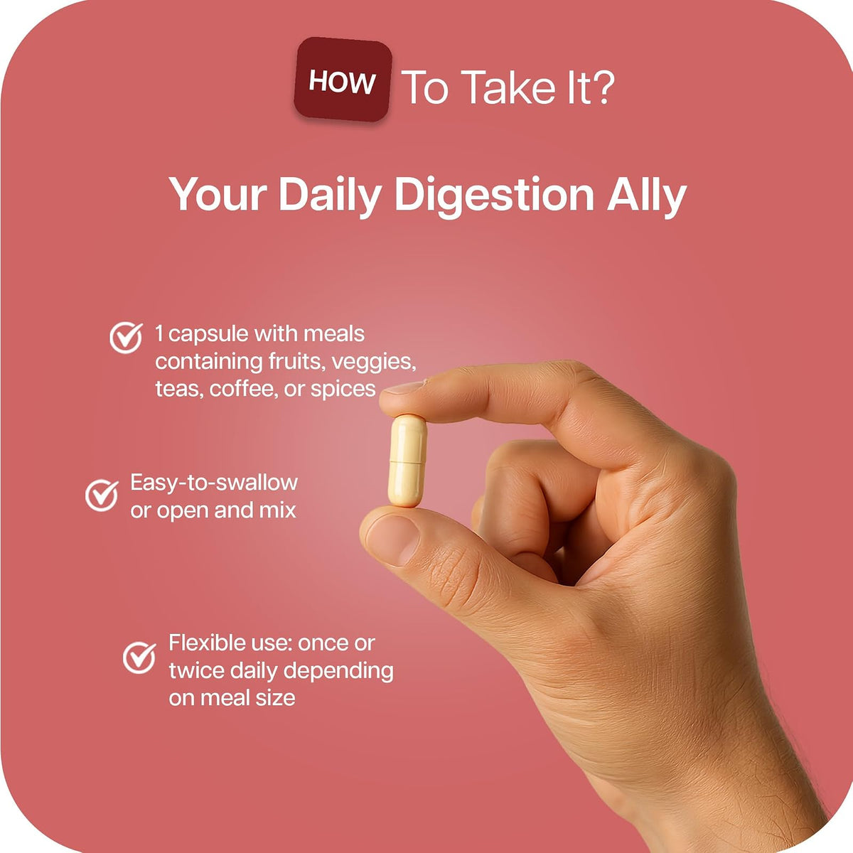 probiotic digestive enzymes for gut health