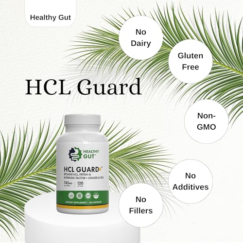 probiotic digestive enzymes for gut health