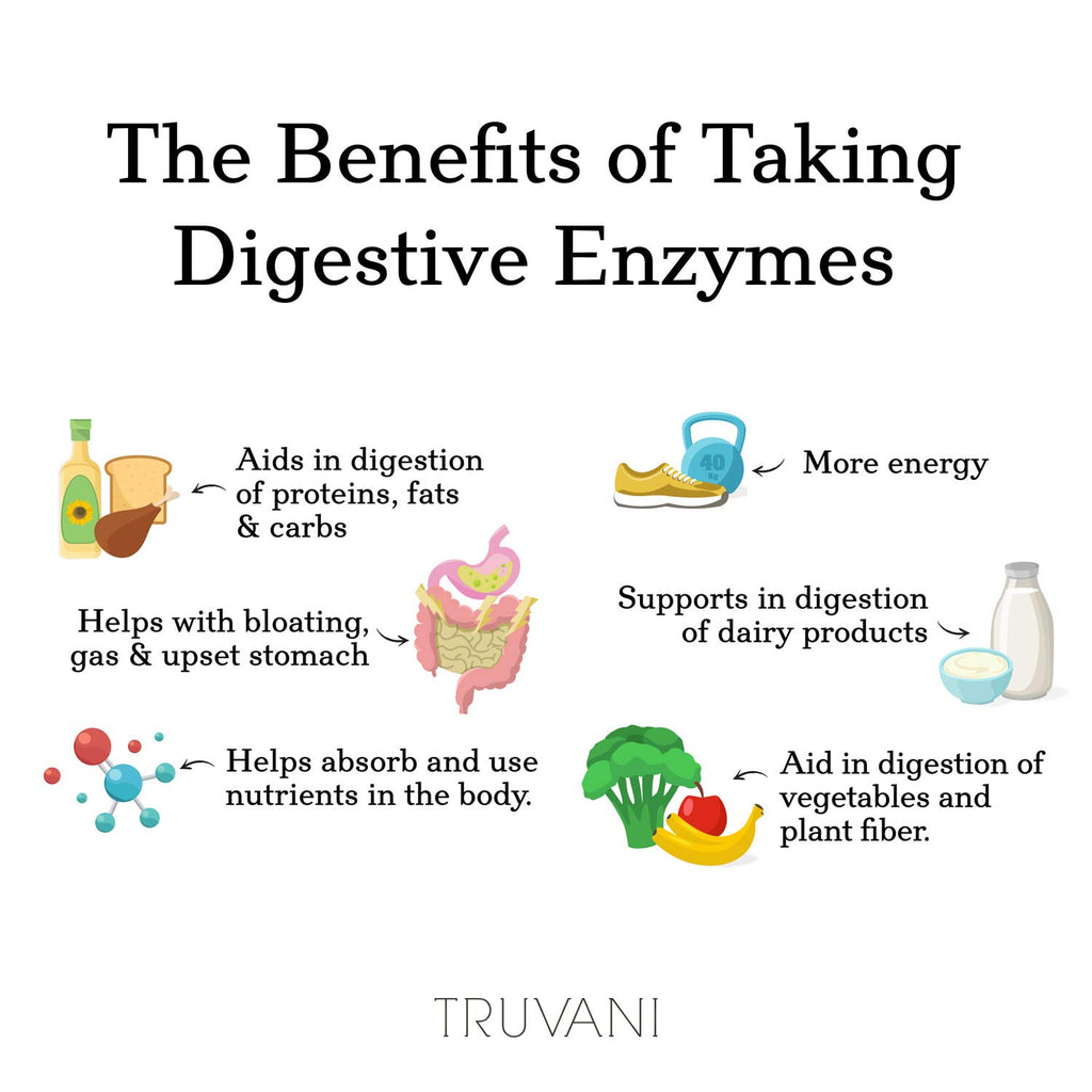 probiotic digestive enzymes for nutrient absorption