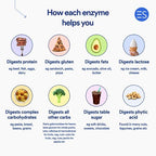 probiotic digestive enzymes for overall health