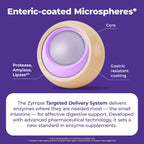 probiotic digestive enzymes for overall wellness