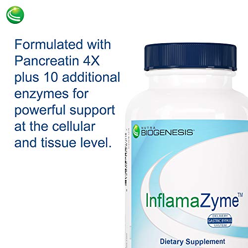 probiotic digestive enzymes for wellness