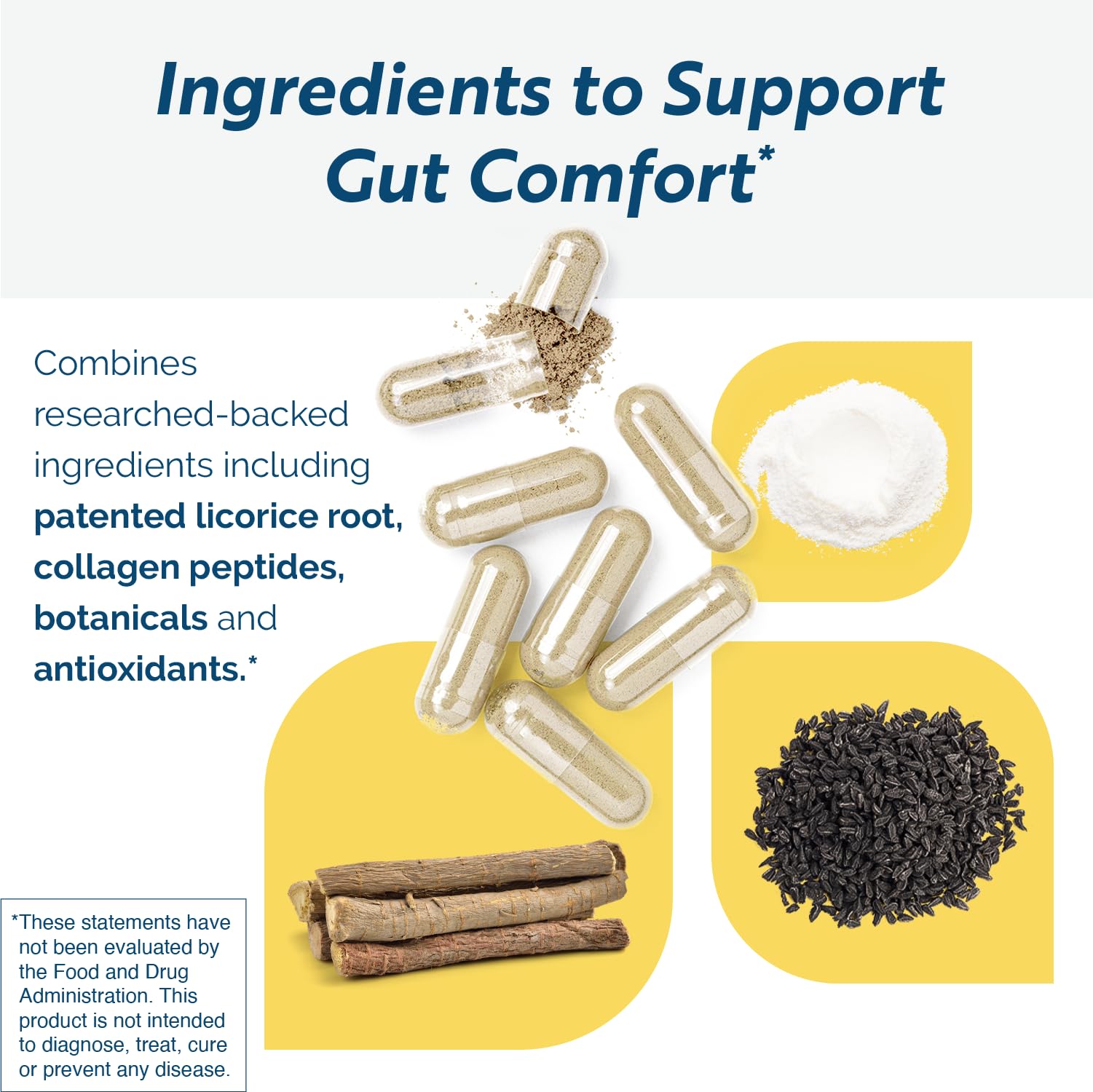 probiotic digestive enzymes for wellness