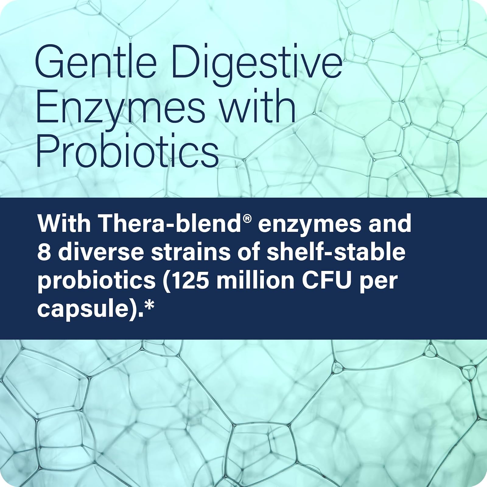 probiotic digestive enzymes for wellness