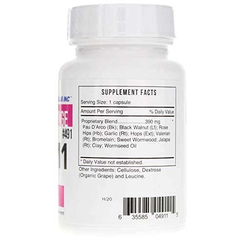 probiotic digestive enzymes for wellness