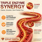Probiotic digestive health formula