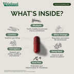 probiotic digestive health solution