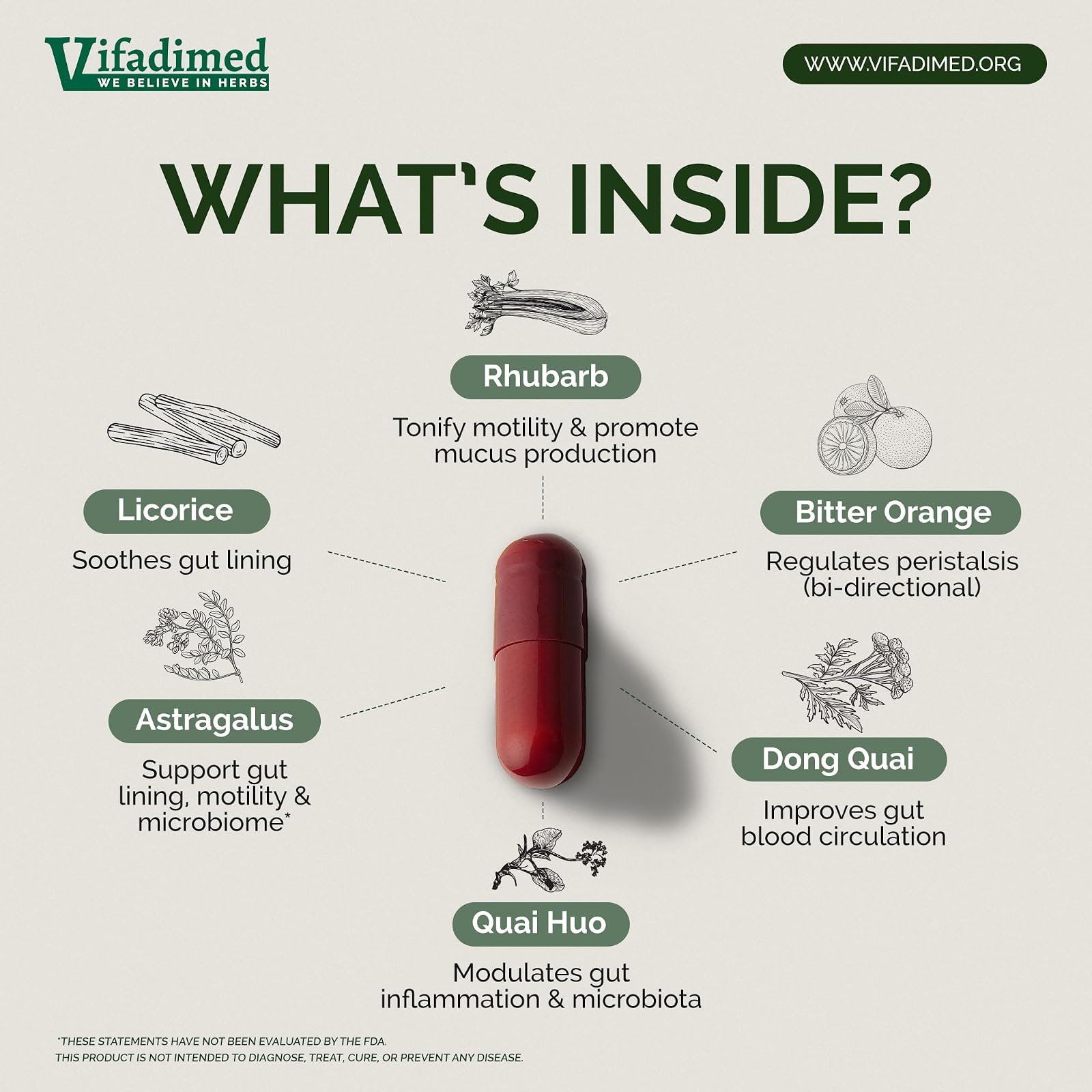 probiotic digestive health solution