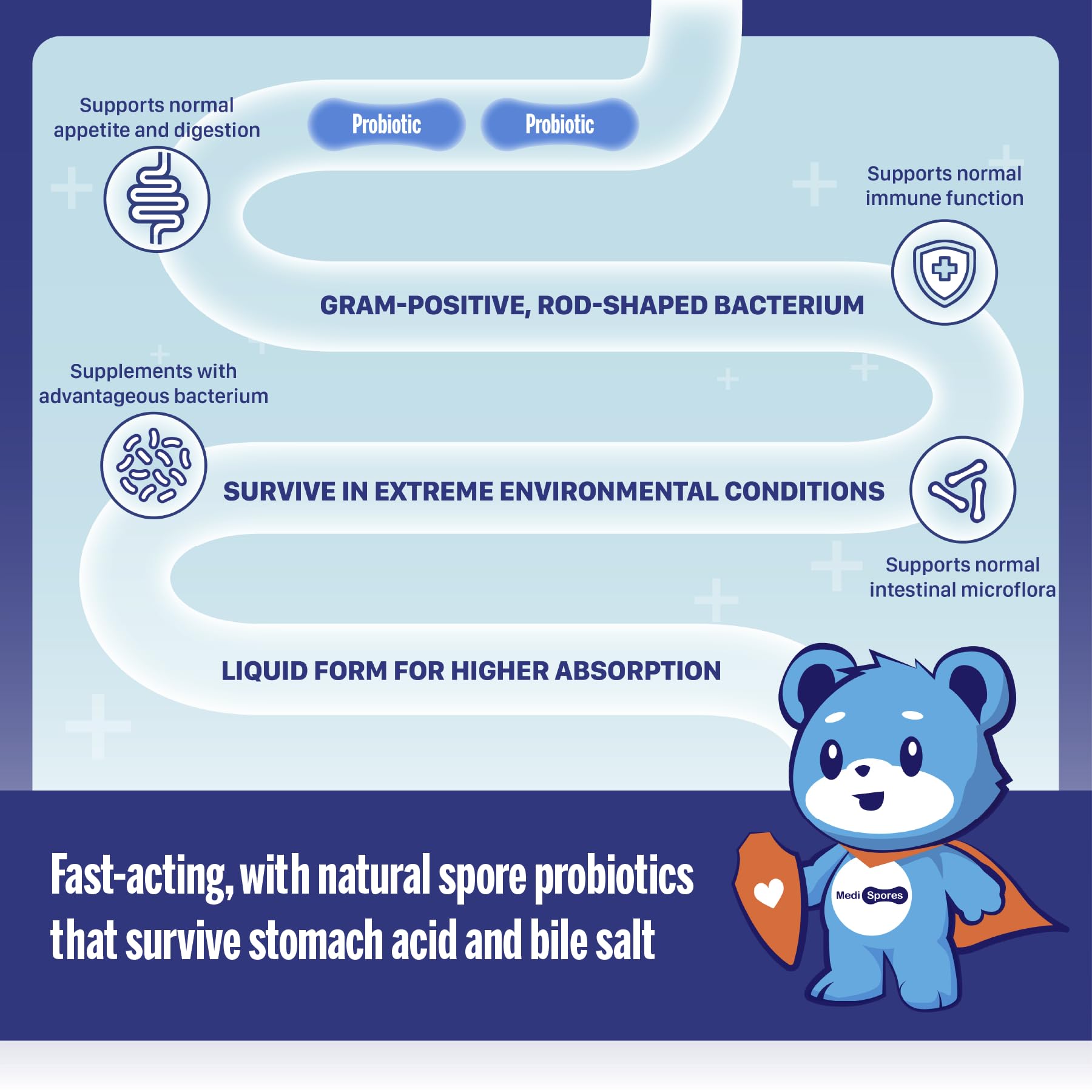 Probiotic drinks for everyday health