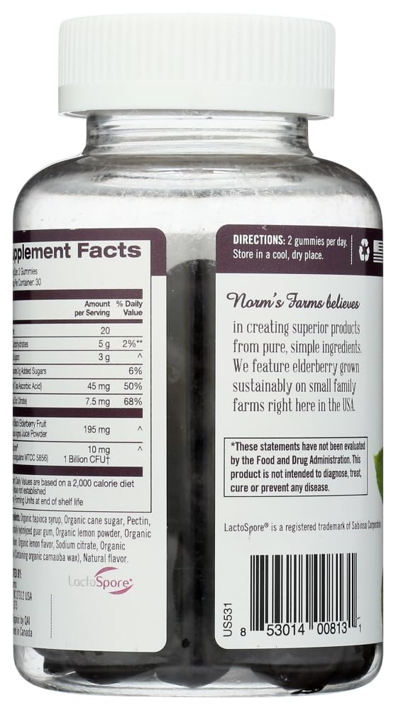 probiotic elderberry gummies for digestion