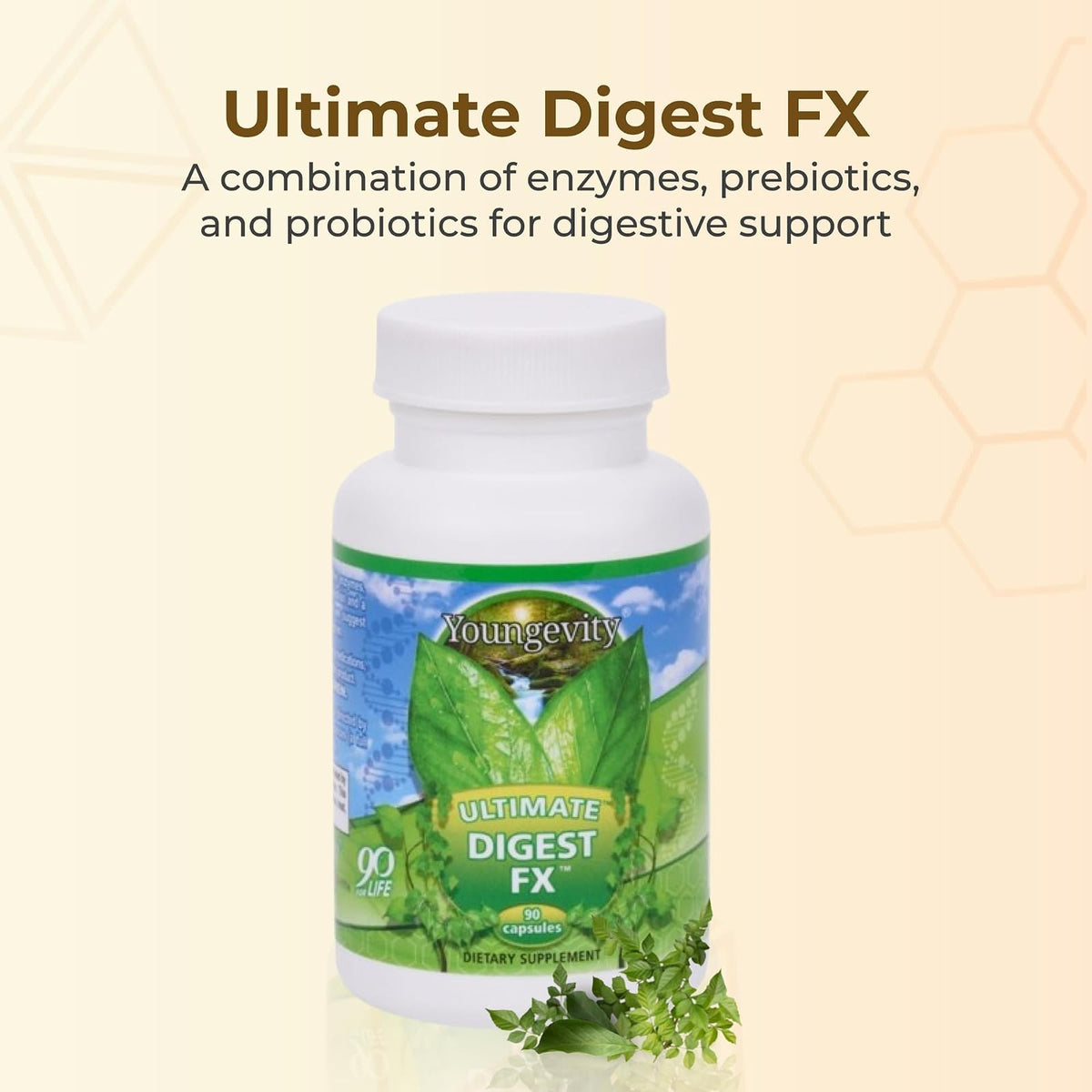 probiotic enzyme blend for digestion