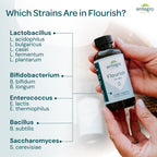 probiotic for daily digestive support