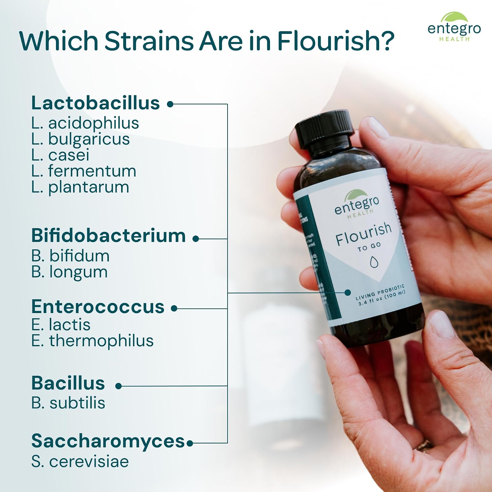 probiotic for daily digestive support