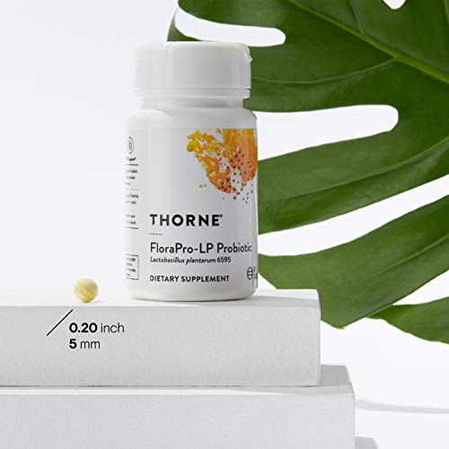 probiotic for digestive wellness