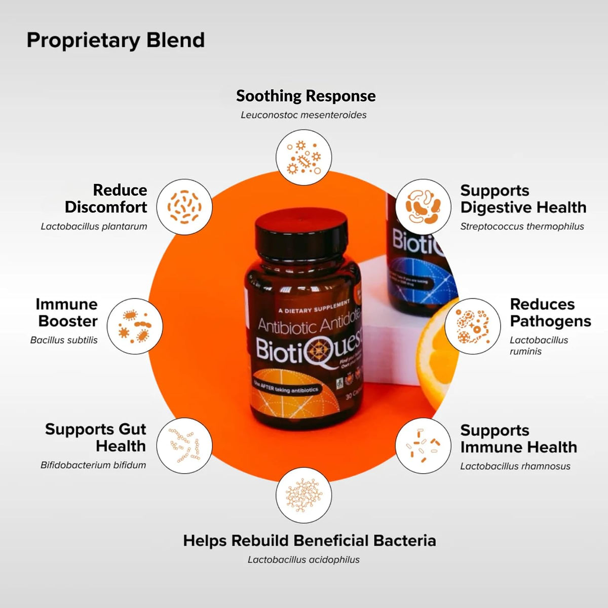 probiotic for heart health support