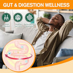 probiotic gummies for daily wellness