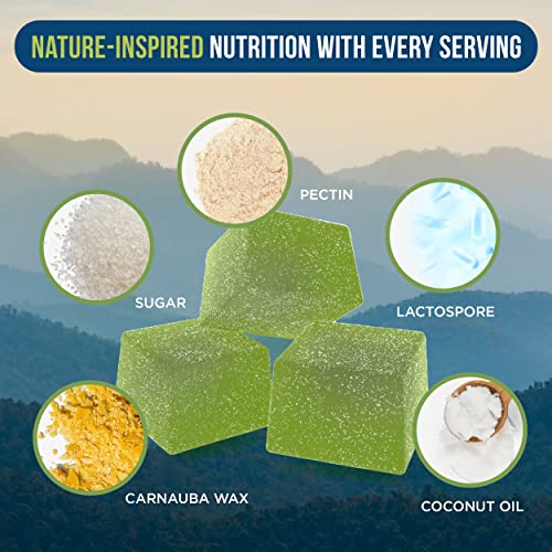 probiotic gummies for fresh breath