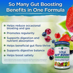 Probiotic gut health supplement powder