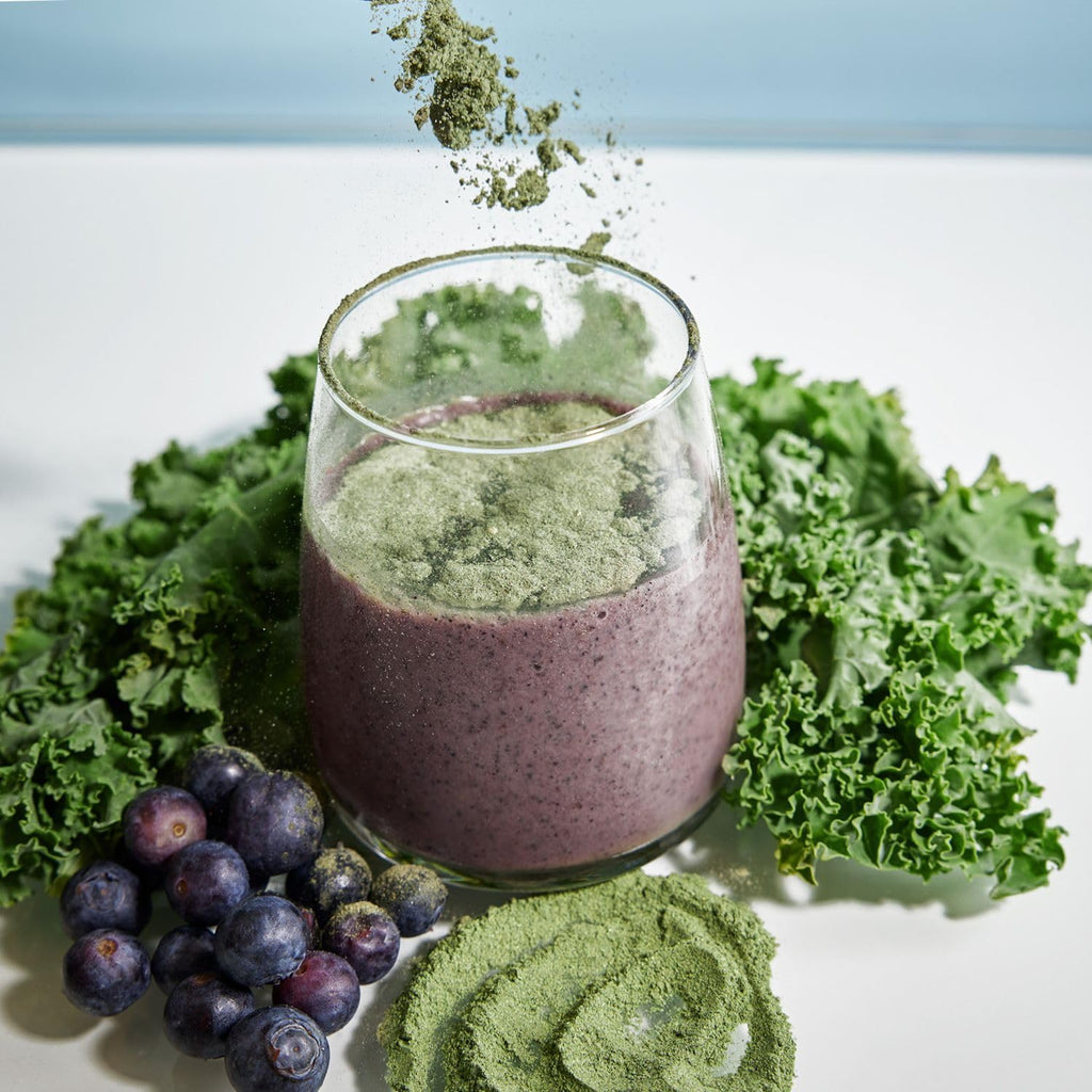Probiotic powder for digestive support