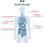 Probiotic powder for gut balance