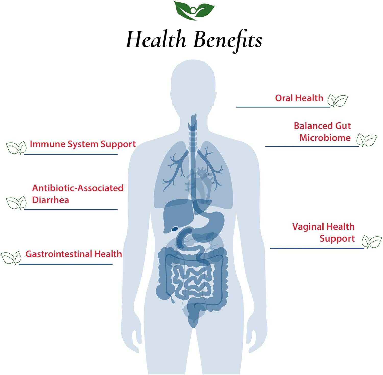 Probiotic powder for gut balance