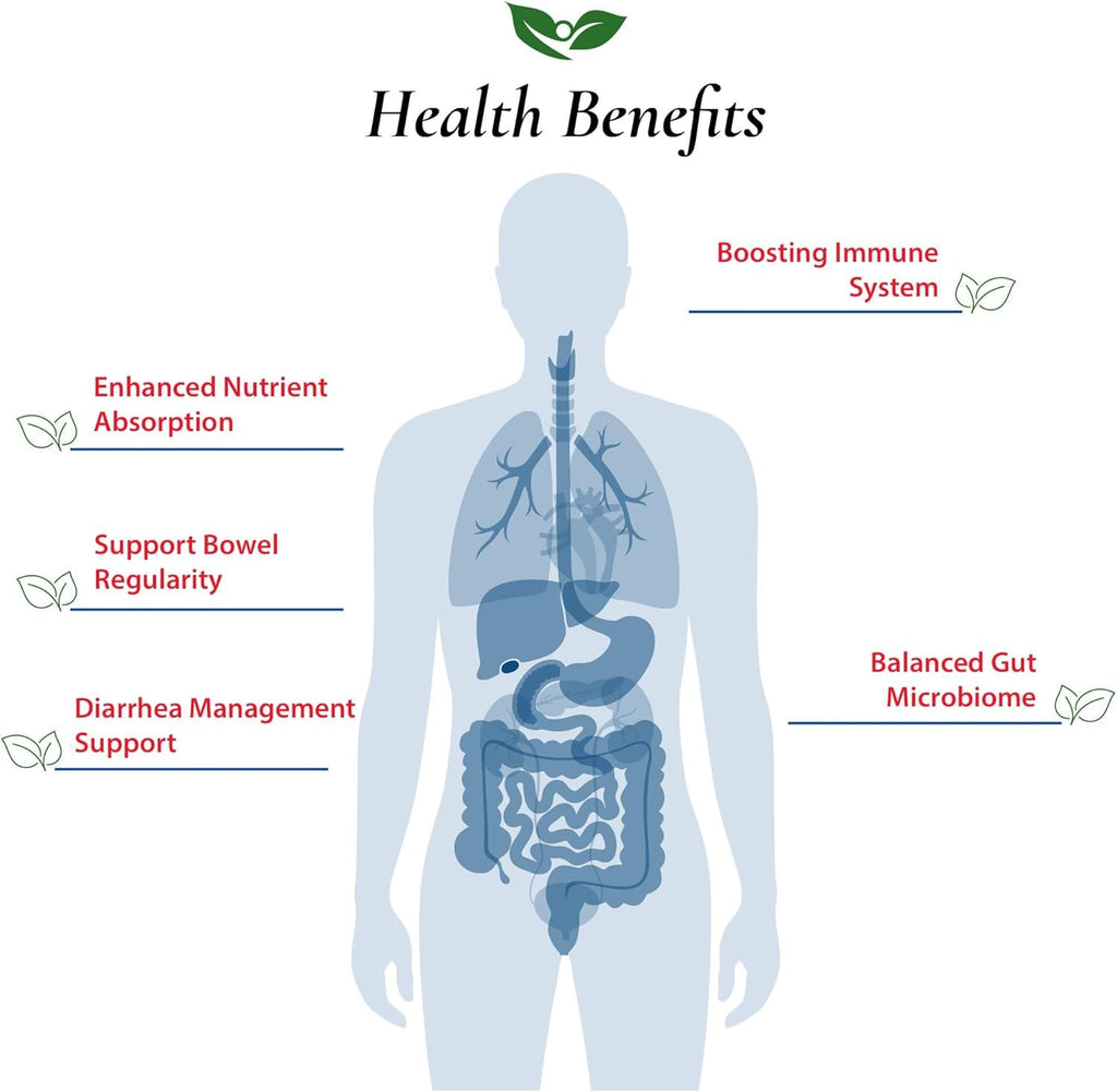 probiotic powder for gut balance