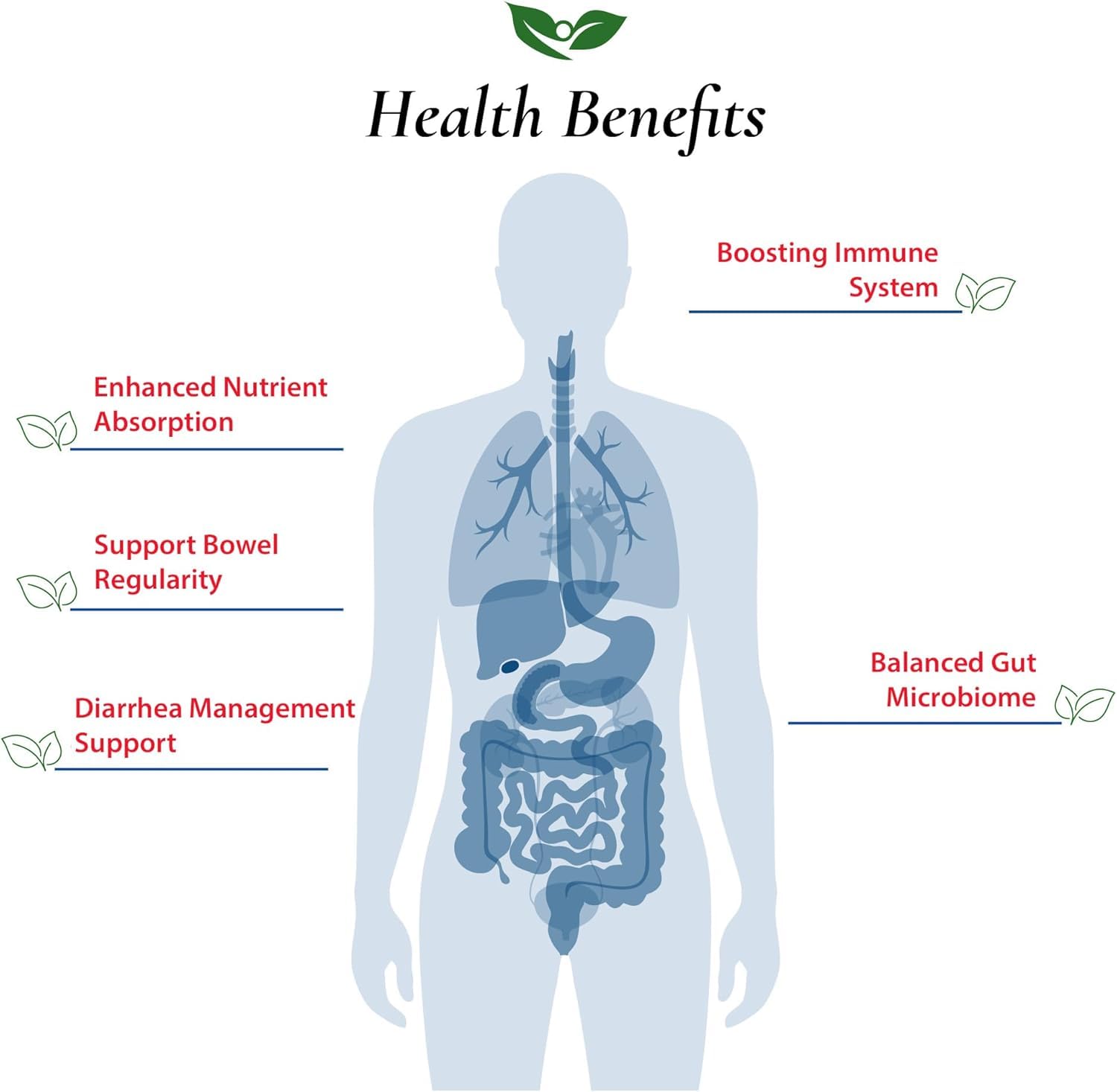 probiotic powder for gut balance