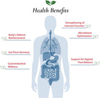 Probiotic powder for gut balance