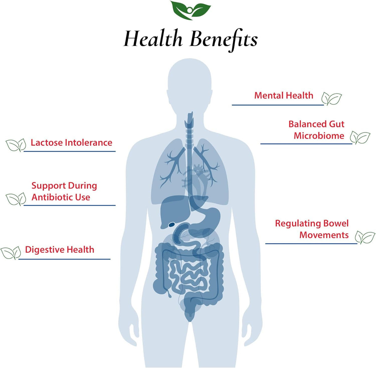 probiotic powder for gut balance
