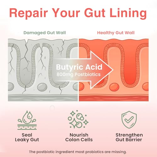 probiotic powder for immune system boost
