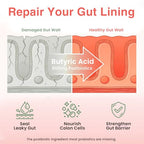 probiotic powder for immune system boost