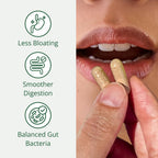 Probiotic + prebiotic digestive support