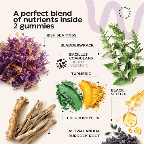 probiotic sea moss for gut health