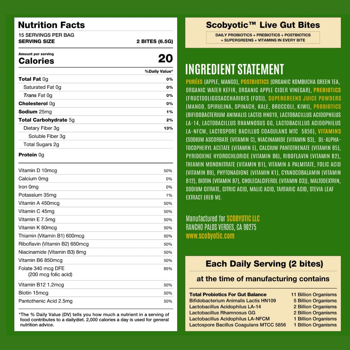 probiotic snacks for a healthy lifestyle