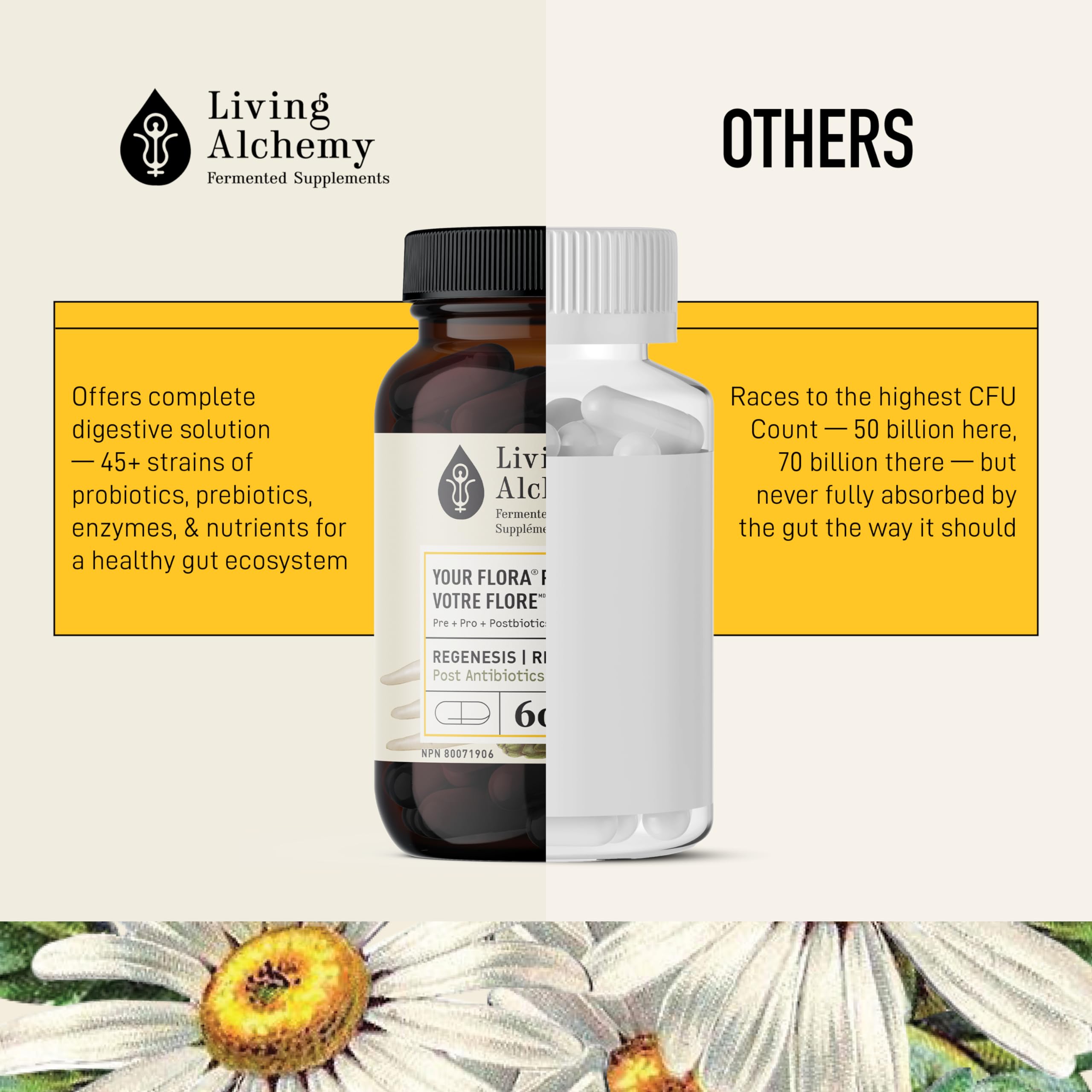 Probiotic supplement for balanced flora