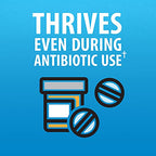 probiotic supplement for daily wellness
