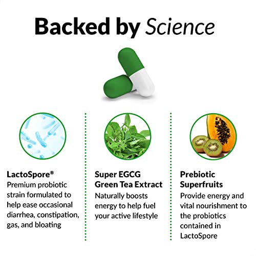 probiotic supplement for daily wellness