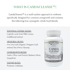 probiotic supplement for digestion