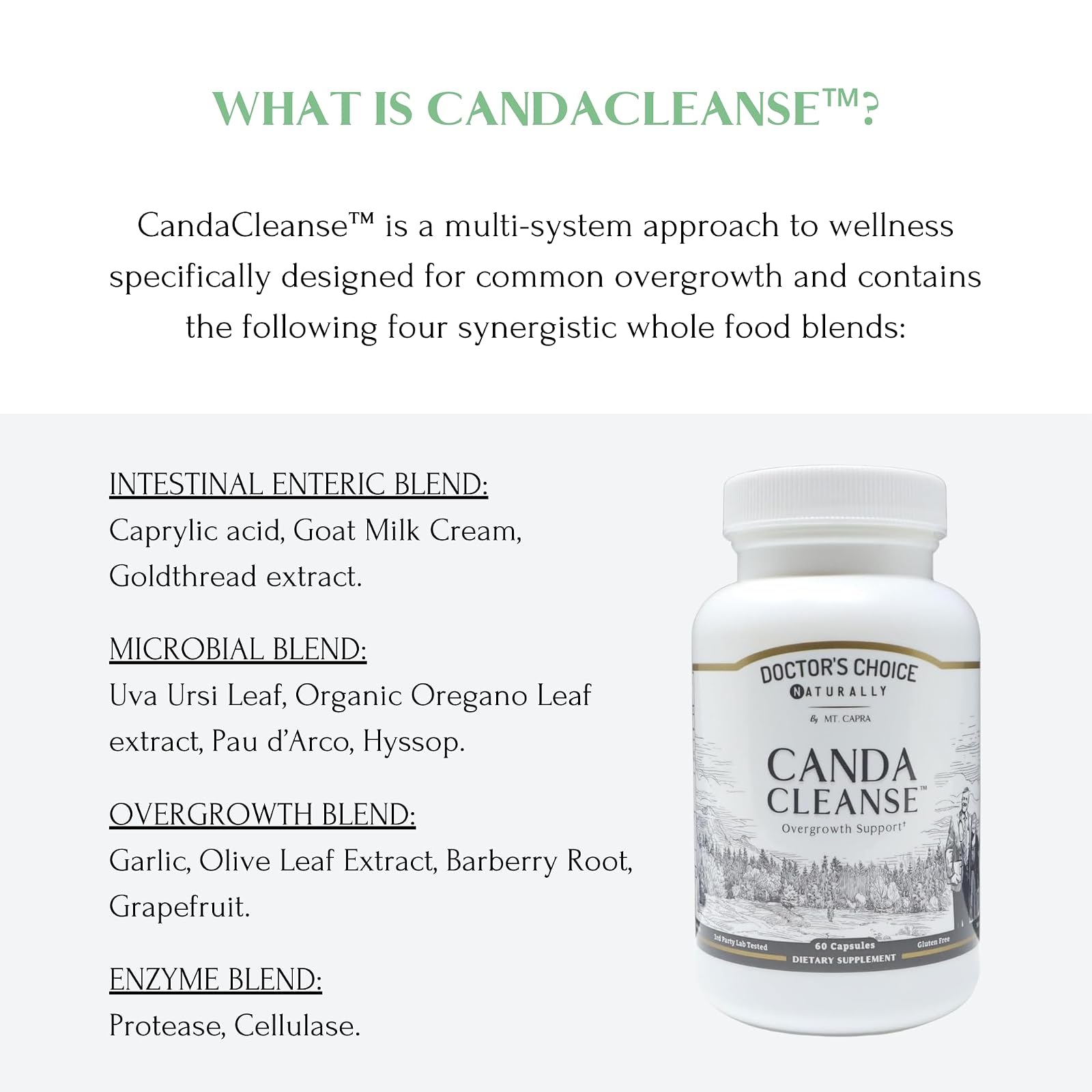 probiotic supplement for digestion