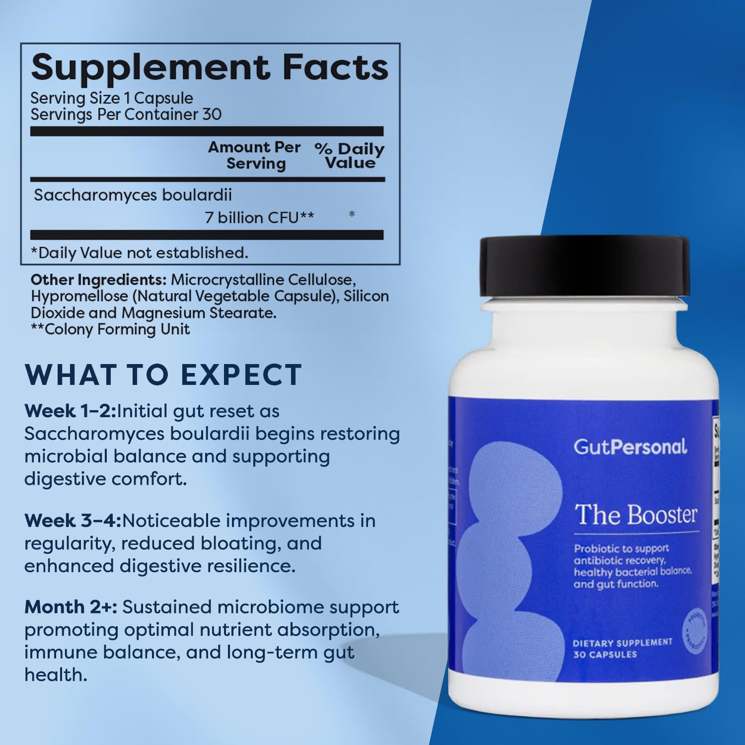 Probiotic supplement for gut wellness